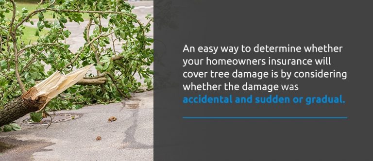 What Tree Damage Does Homeowners Insurance Cover?