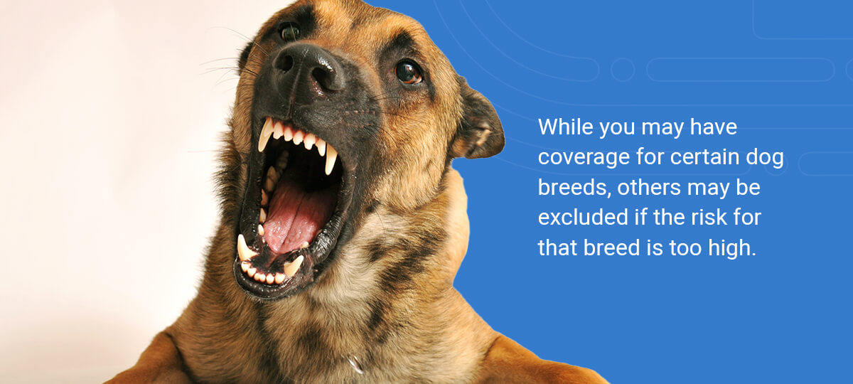 How to Compare Homeowners Insurance Quotes | David Pope