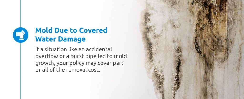 When Does Homeowners Insurance Covers Water Damage?